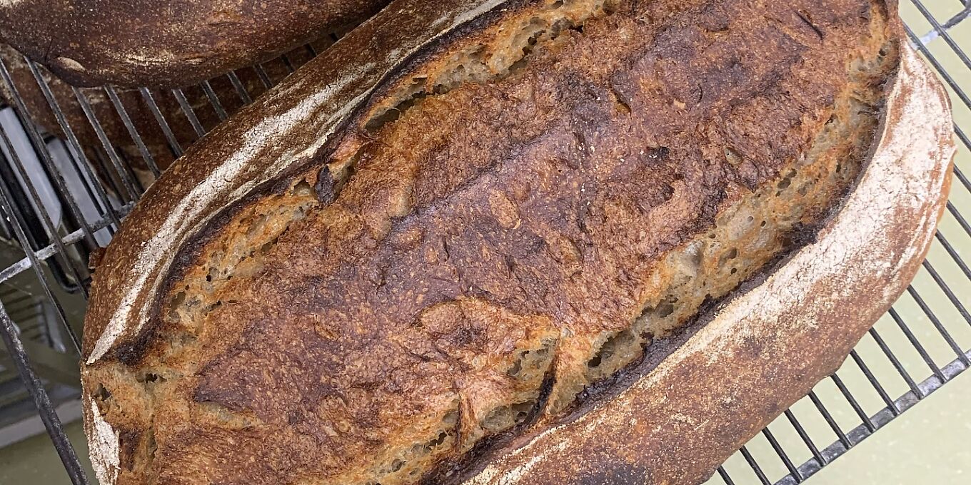 Review of E5 Bakehouse, Hackney, London | The Good Food Guide